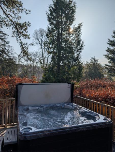 Hot Tub 3 Bed Lodge - Fallbarrow - Lake Windermere - Windermere