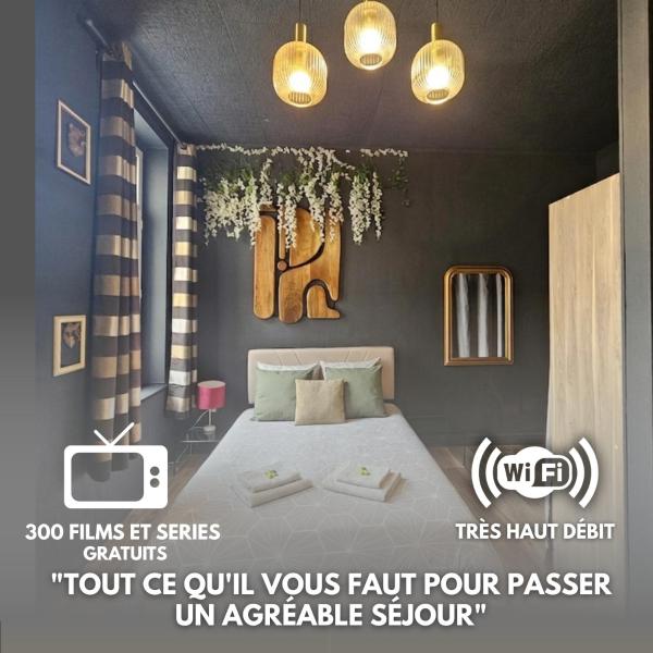 Le Velvet - Douai