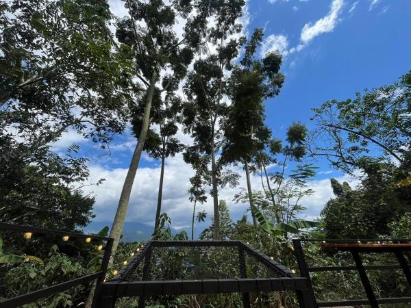 Cabaña La Arboleda - La Vega