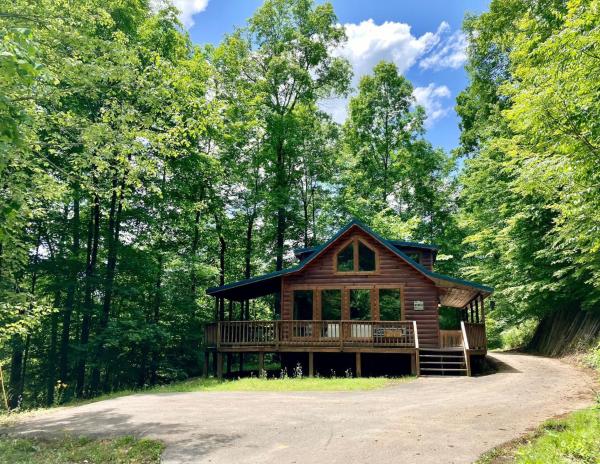 Wildcat Cabin - Pet Friendly Hot Tub Forest Stay - Kentucky