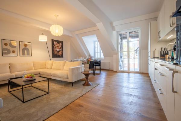Spacious Apartment In Central Basel Near Rhine - Special Top Lux 34 Apartment, Basel, Up To 8 Guests - Bâle
