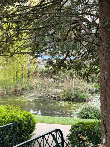 Park View Seaside Retreat - Hastings