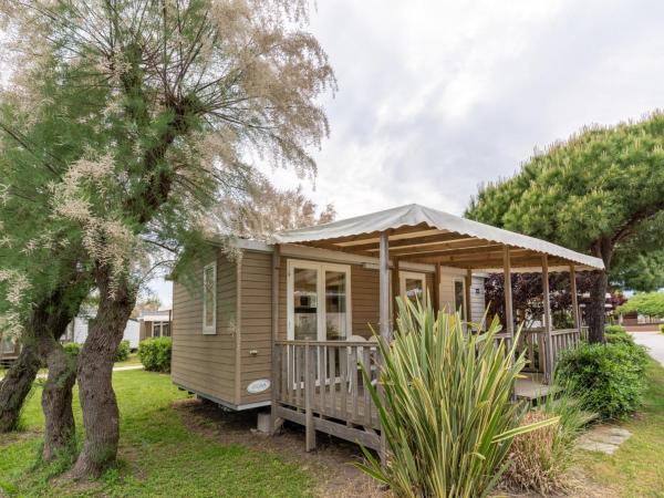 Vigna Sul Mar Family Collection - Emilia-Romagna