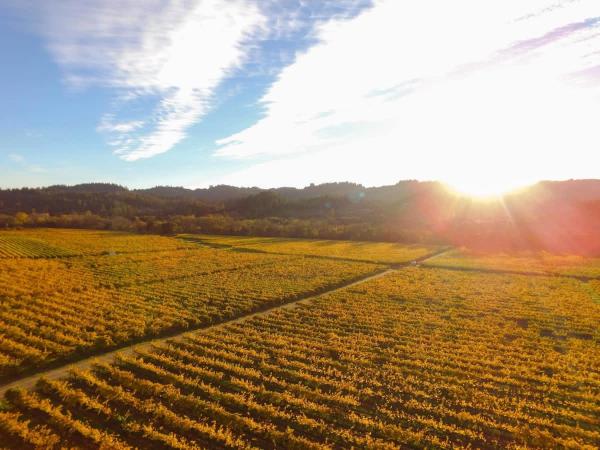 Santini Farmhouse -- Beautiful Italian Style Villa, Hot Tub, Vineyard Views - Geyserville, CA