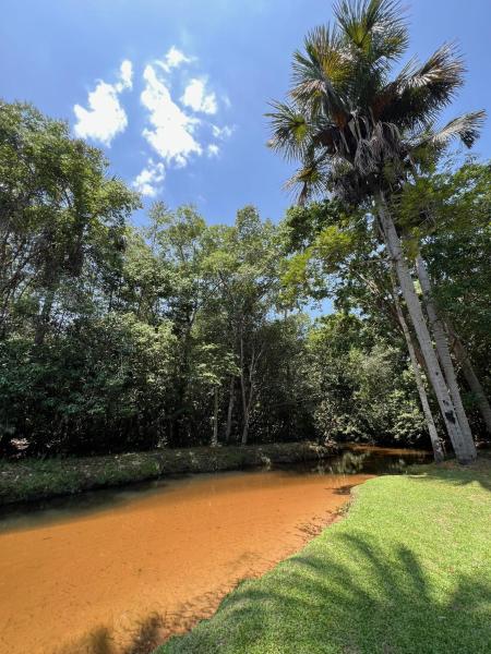 Bosque Dos Buritis - Araguaína