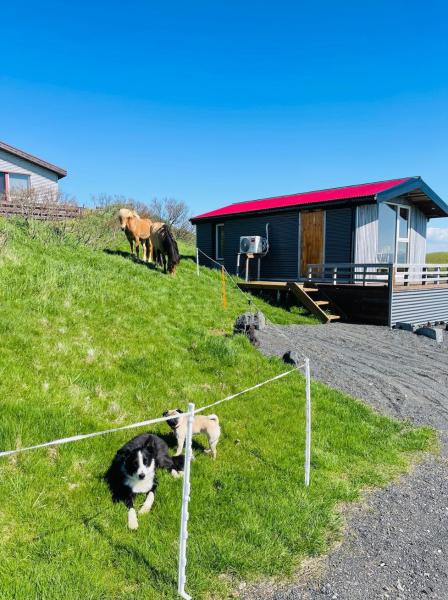 Vestra Fíflholt Cabin 4 - Iceland