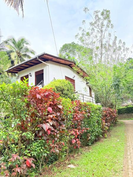 Laa Villa Kandy - Kandy