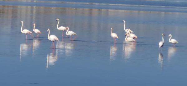 Kairos Isola Di Sant'antioco - Calasetta