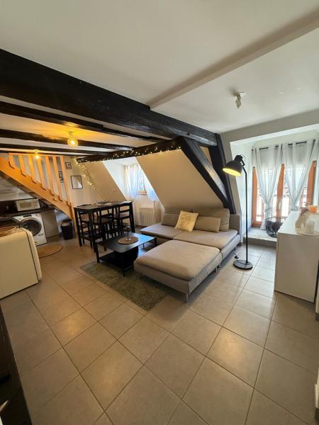 Appartement En Duplex Au Centre-ville De Sélestat - Marckolsheim