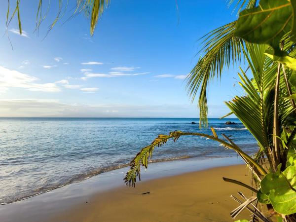 Central Vieques 2br | Walk To Ferry, Beach & Plaza - Vieques