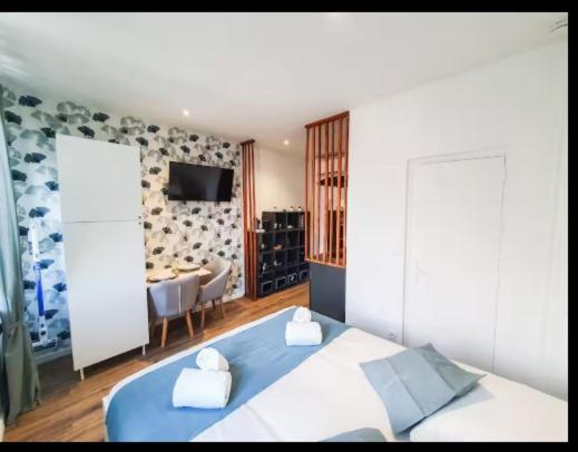 Studio Climatisé Tout Confort - Albí