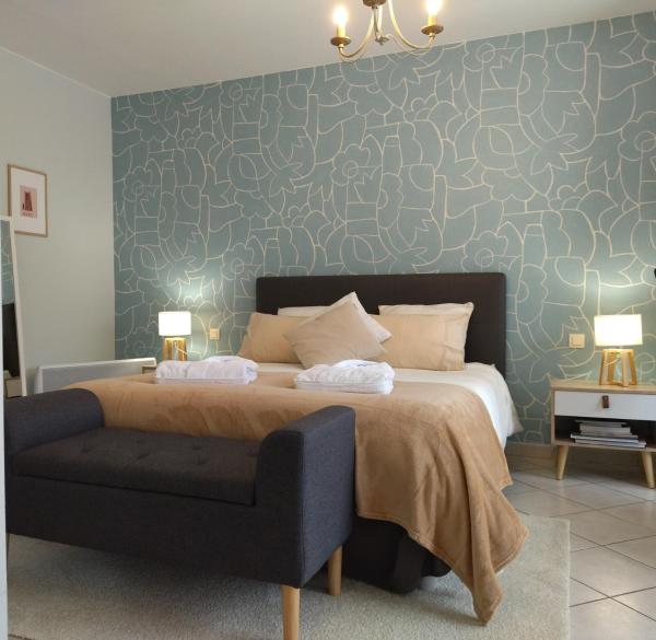 Fleurs De Cosmos Chambre D' Hôtes Albi - Albi