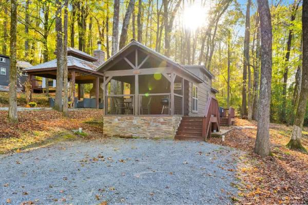 Eliza Cabin Nature Nested Tiny Cabin W Hot Tub - 