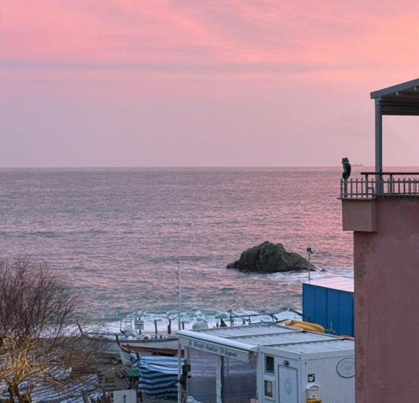 Barbagin From Sea - Monterosso al Mare