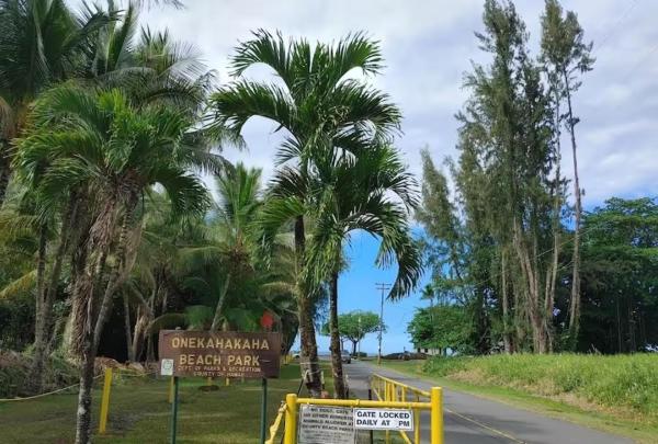 Oceanfront Views • Balcony + Top Hilo Location - Hilo, HI