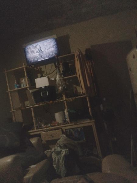 Swallow's Nest - Jamaica