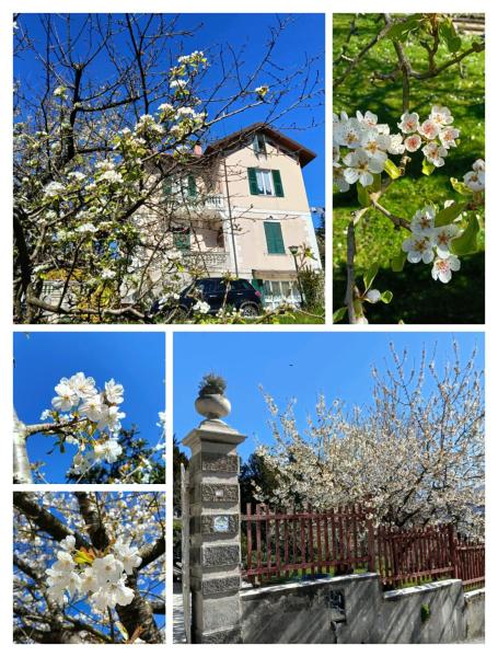 B&b Casa Galletti - Casella