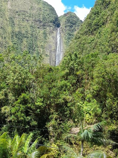 Gite La Cascade Blanche - Réunion