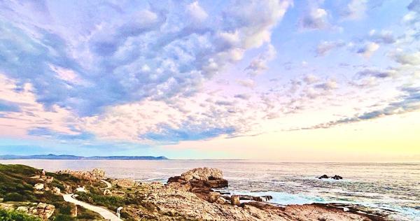 The View - Hermanus