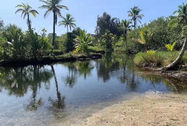 Ocean View 1br • Balcony • Near Beaches & Downtown - Hilo, HI