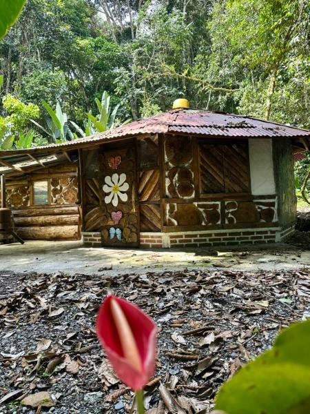 Bosque De Oro - Valle del Cauca
