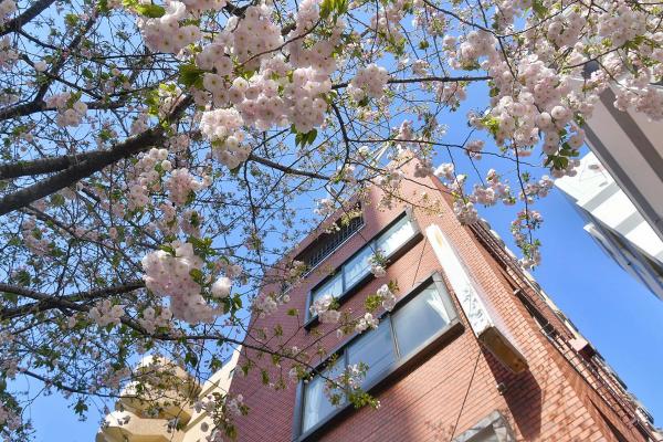 Sunrisestay Asakusa Kaminarimon-dori浅草商业街 雷门通 - Akihabara