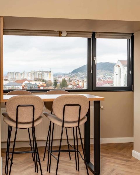 Distinct Ultracentral Apartment - Bistrița