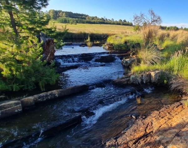 Where Calm Meets Calamity Nico Majestica Hide Out - Dullstroom