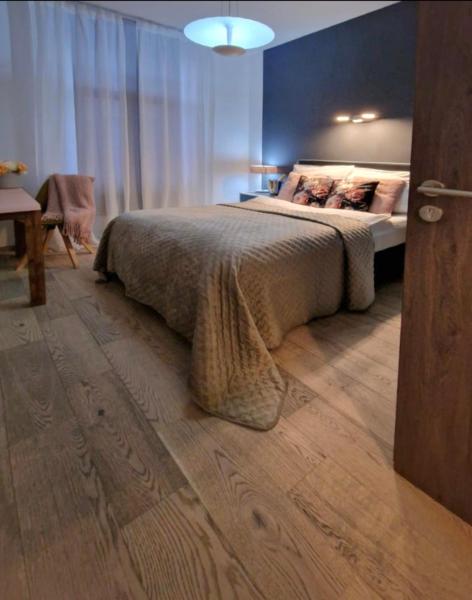 Pension Villa Grün - Zwickau