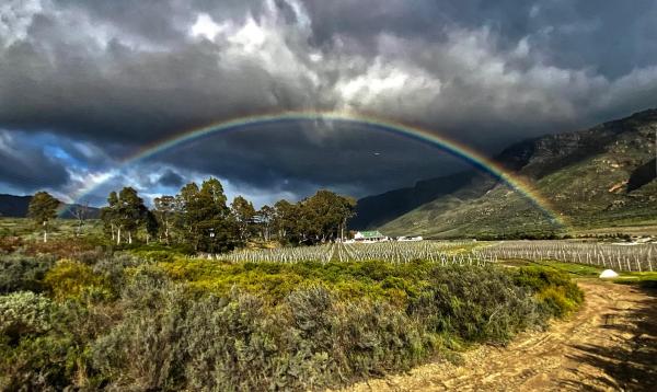 Mountainview Vineyards - Greyton