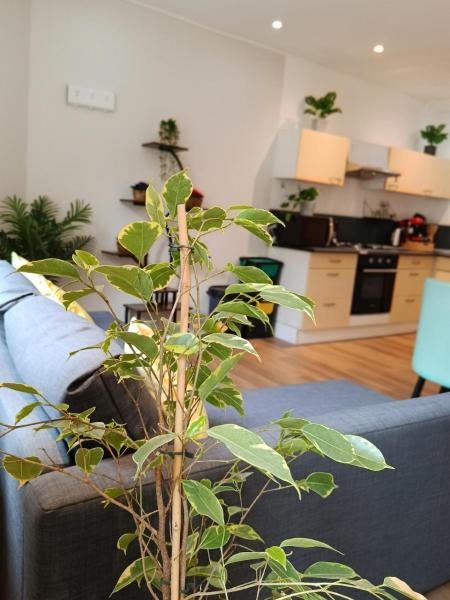 Appartement 2 - Cher
