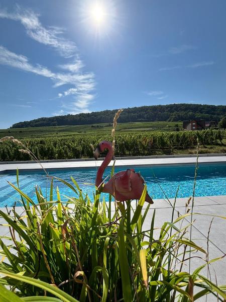 Domaine Wagenbourg Bickel Proche De Colmar - Lac du Ballon