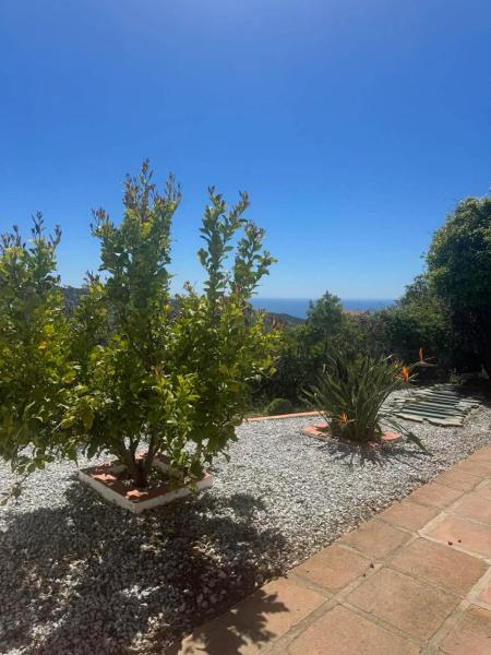 Casa Azafranes - Boutique B&b - Arenas - Torre del Mar