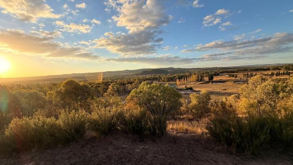 Harrington Glen Estate - Stanthorpe