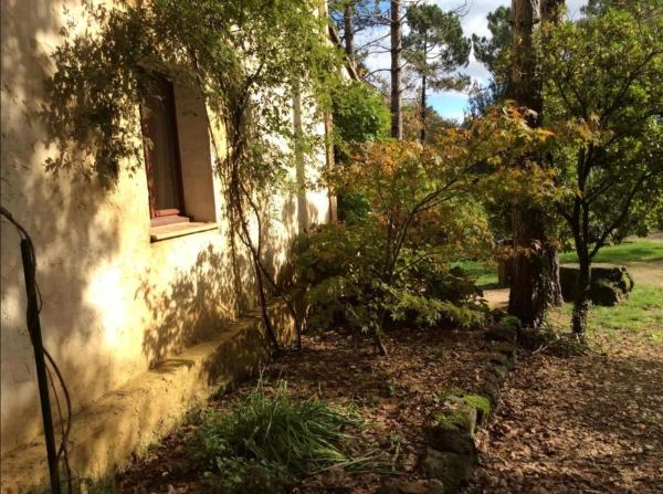 Chambre L'arbousier - Anduze