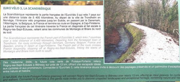 Blanche De Castille - Saint-Fargeau