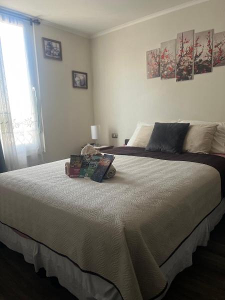 Moderno Departamento En Santiago Centro - Santiago