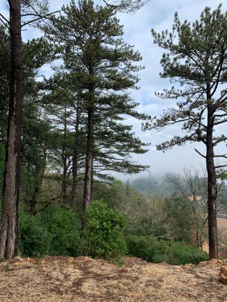 Green Castel - Brignoles