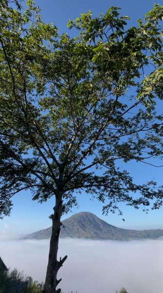 Pinggan Infinity - Kintamani
