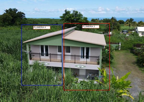 Plumeria 3 - Saint-Pierre