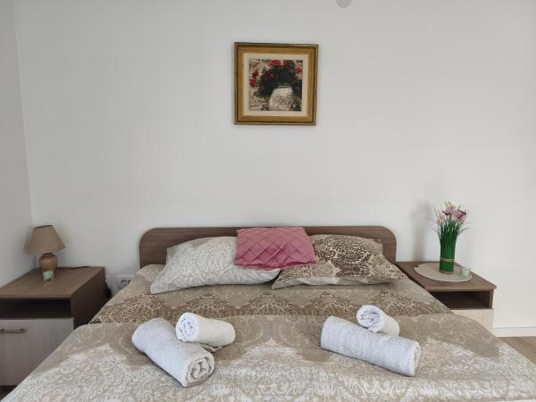 Studio Dimitrije 14 - Sokobanja