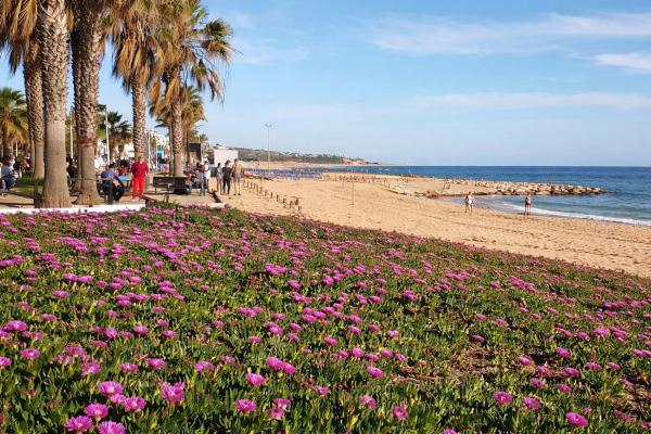 Tmp Apartamento - Quarteira