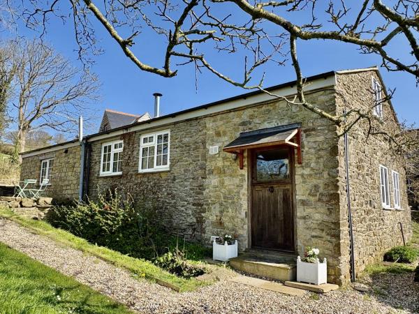 Blackmoor View Cottage - Sherborne