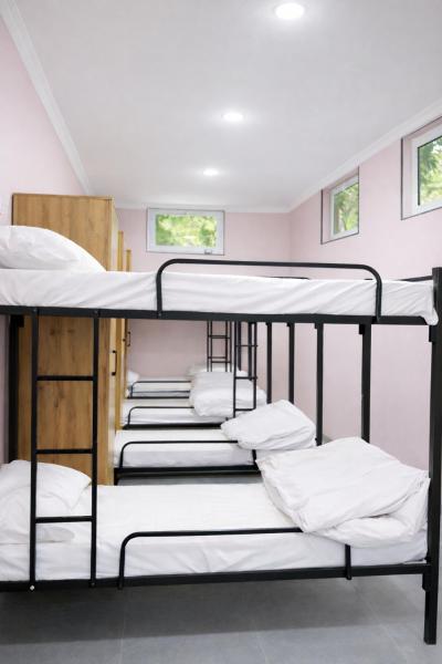 Backpackers Tashkent - Tashkent