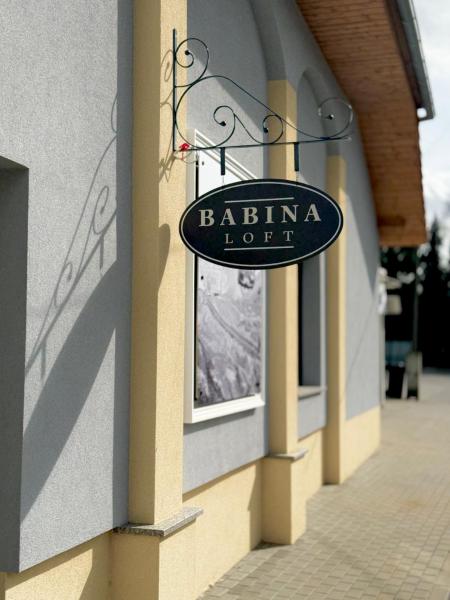 Babina Loft - Bad Muskau