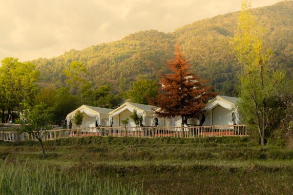 Camp Kelang A Mountain View Camping Bonfire Near Paragliding Landing Site - Bir