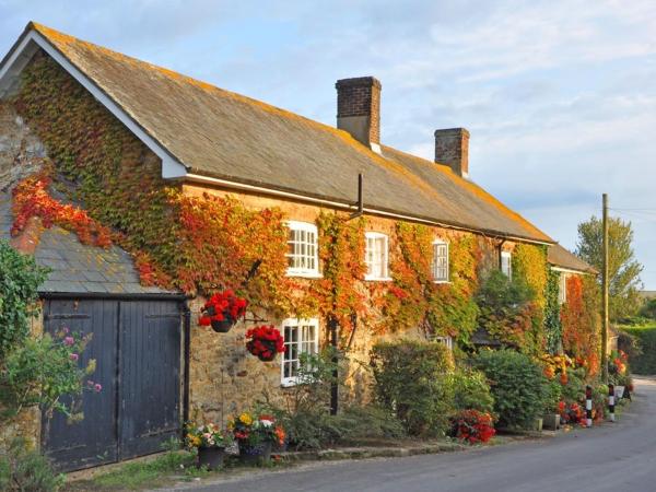 East Farm House B&b - Dorset