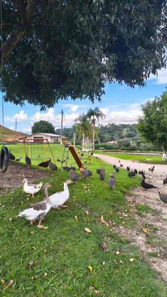 Pousada Fazolin - Socorro