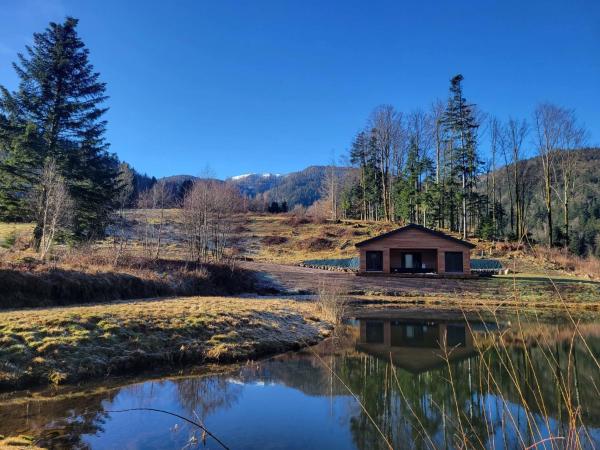 Chalet Des Briseux - Vogesen
