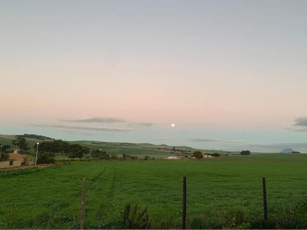 Peaceful 2bed Pet-friendly Cottage With Farm Views - Moorreesburg